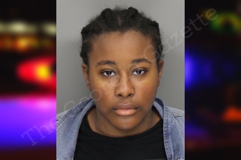 Pamela Hatcher — Cobb County Jail Bookings