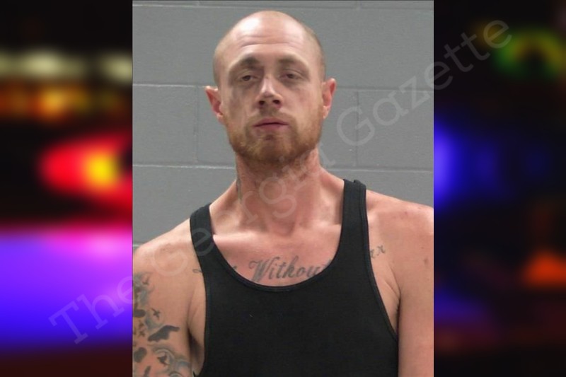 Brandon Henry — Baldwin County Jail Bookings