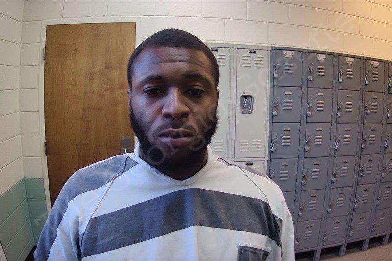 Tevin Holmes — Evans County Jail Bookings