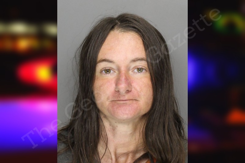 Hayley Hood — Cobb County Jail Bookings