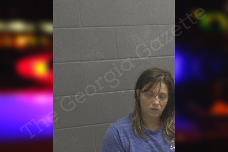 Christina Hamlin — Spalding County Jail Bookings