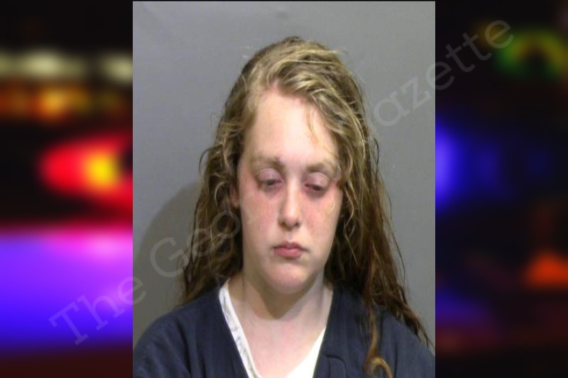 Monica Hanson — Glynn County Jail Bookings Monica Hanson — Glynn County Jail Bookings