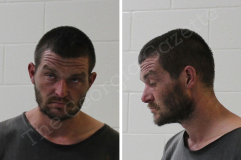 Brandon Hodges — Houston County Jail Bookings