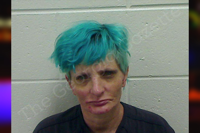 Heather Hood — Bulloch County Jail Bookings