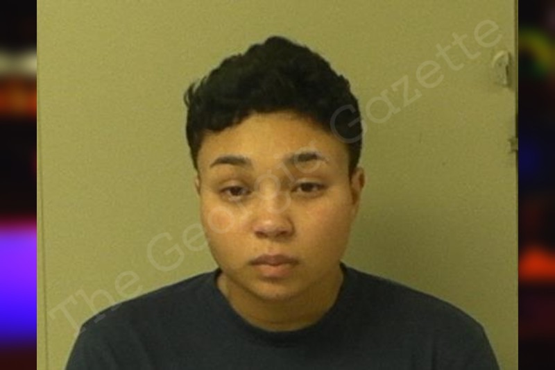 Destiny Johnson — McIntosh County Jail Bookings