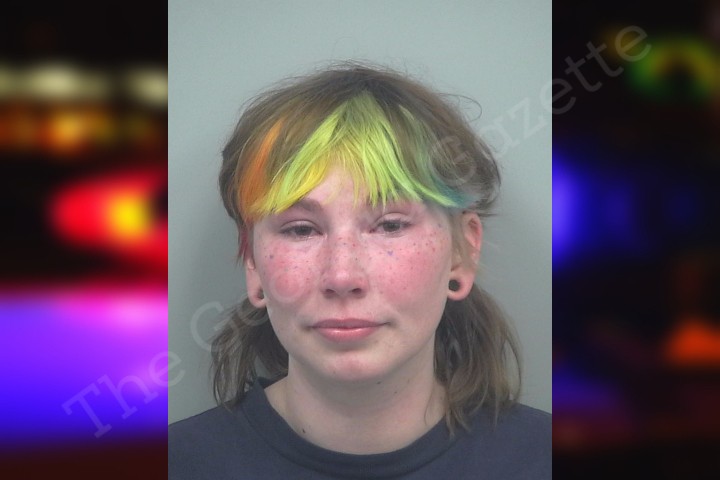 Alexis Johnson — Gwinnett County Jail Bookings