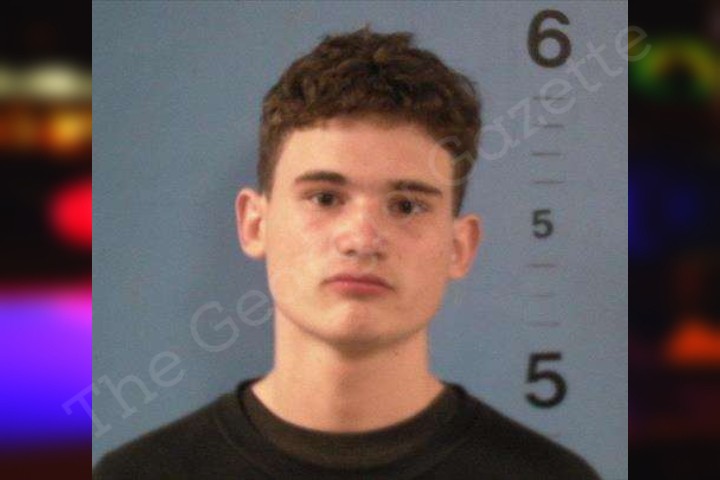 Theodore Johnson — Monroe County Jail Bookings