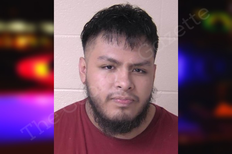 Alexis Juarez — Walker County Jail Bookings