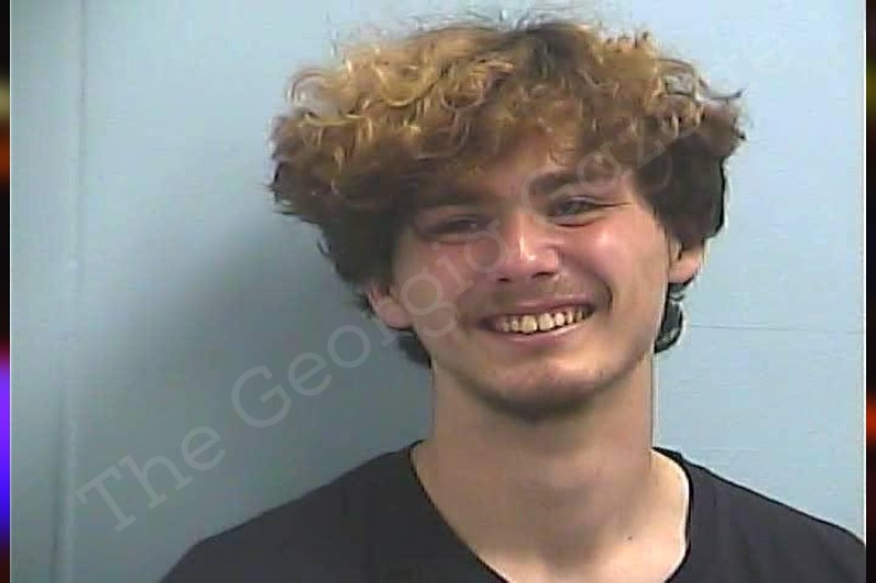 Matthew Kemp — Dawson County Jail Bookings