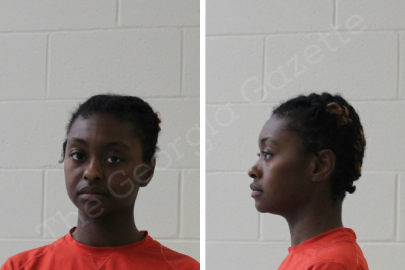 Dione Lewis — Houston County Jail Bookings