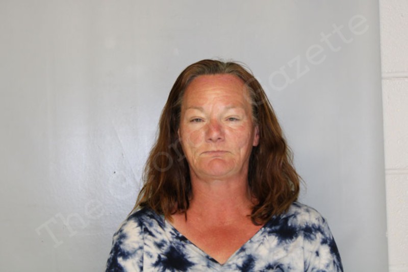 Lisa Logan — Hall County