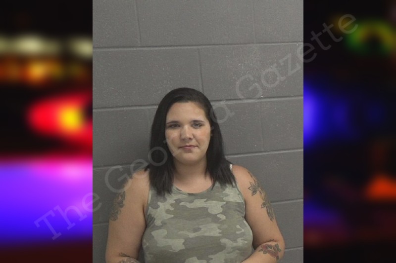 Meaghan Lamb — Spalding County Jail Bookings