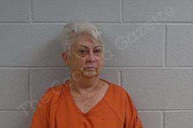 Sadie Lee — Polk County Jail Bookings