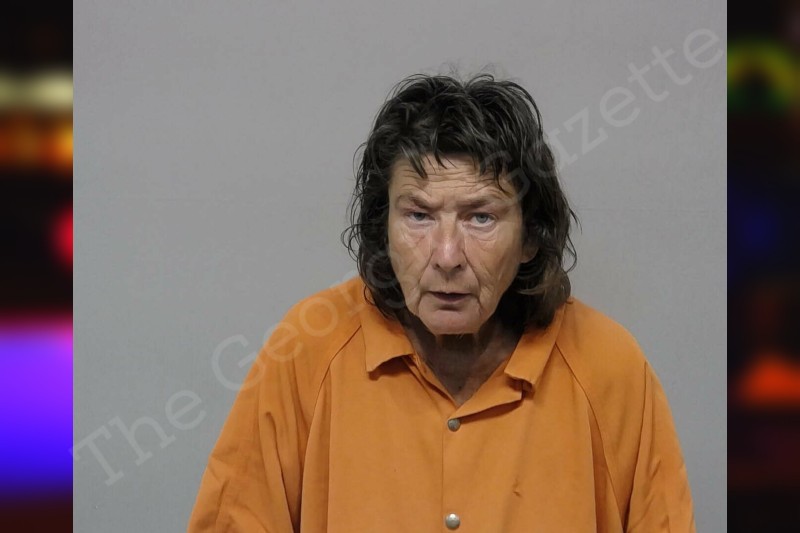 Lisa Boyd — Bibb County Jail Bookings Lisa Boyd — Bibb County Jail Bookings
