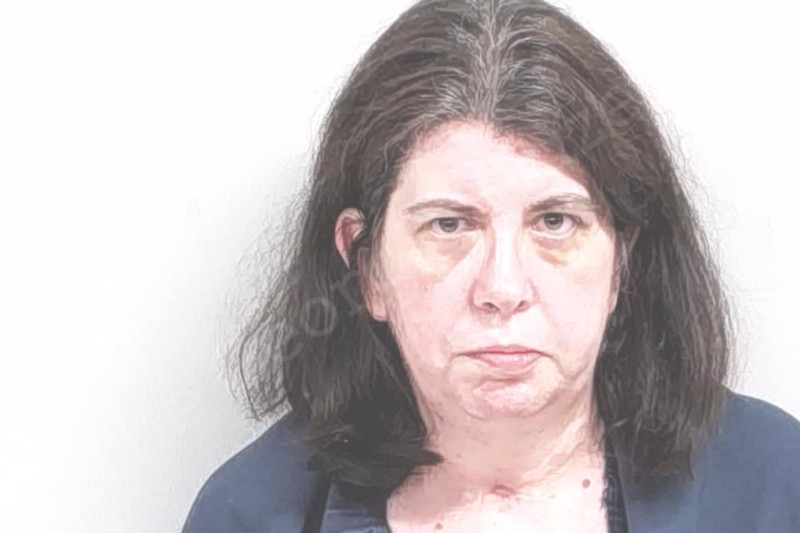 Melissa Mathis — Lowndes County Jail Bookings