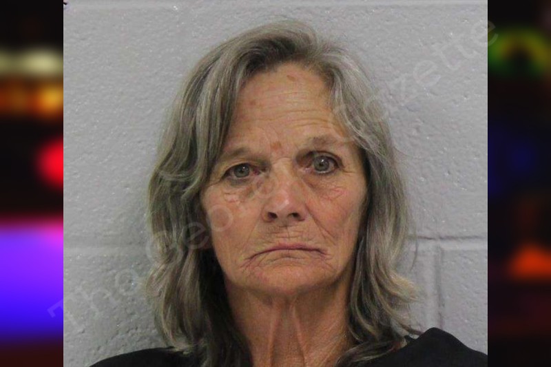 Lisa Mitchell — Carroll County Jail Bookings