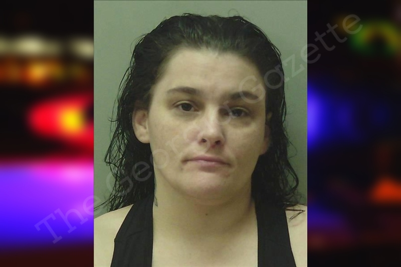 Brandy Martin — Towns County Jail Bookings