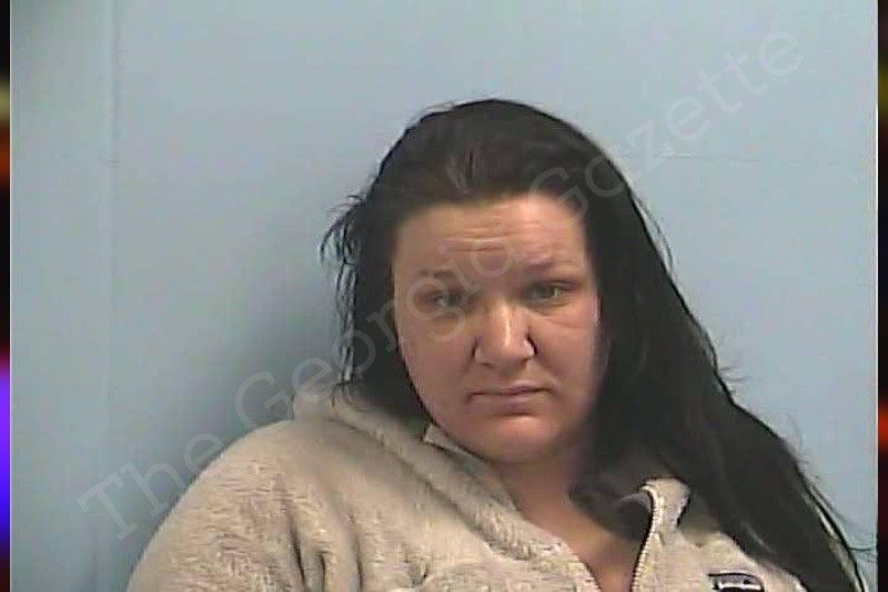 Kristin Mathis — Dawson County Jail Bookings