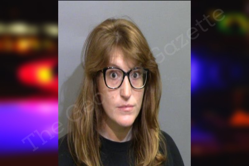 Lindsay McMichael — Glynn County Jail Bookings