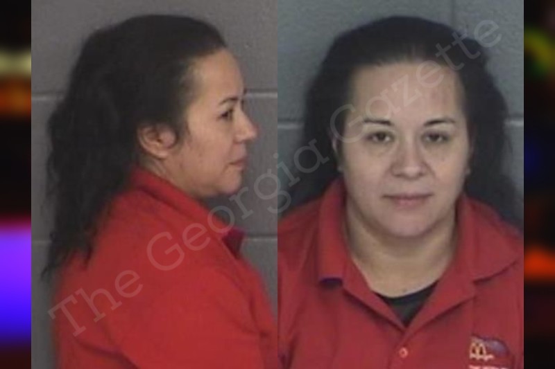 Irma Meneses — Barrow County Jail Bookings