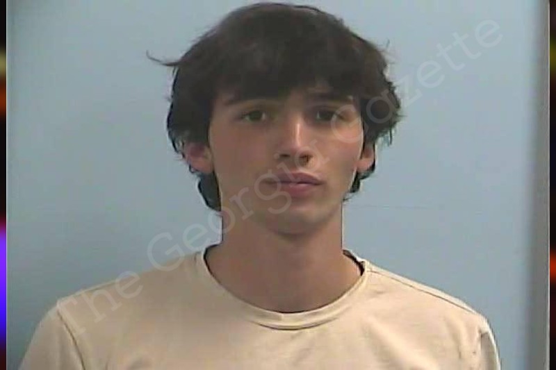 Vincent Mosca — Dawson County Jail Bookings