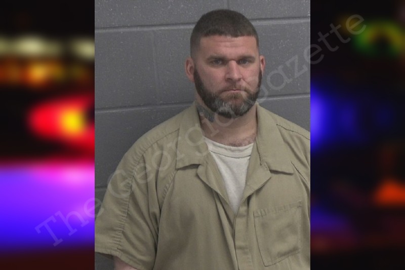Bryan Nicholson — Spalding County Jail Bookings