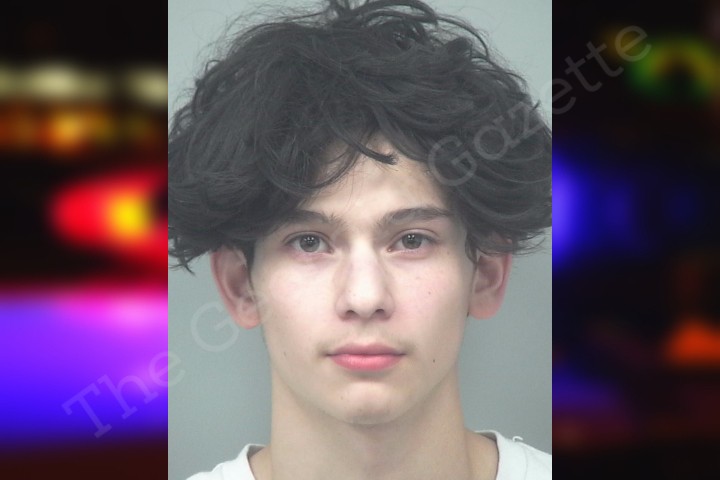 Edwin Orozco — Gwinnett County Jail Bookings