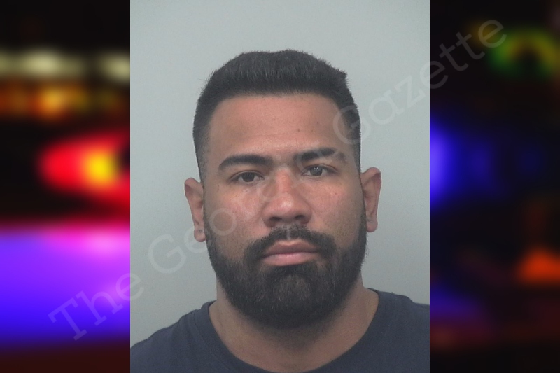 Gabriel Paez — Gwinnett County Jail Bookings