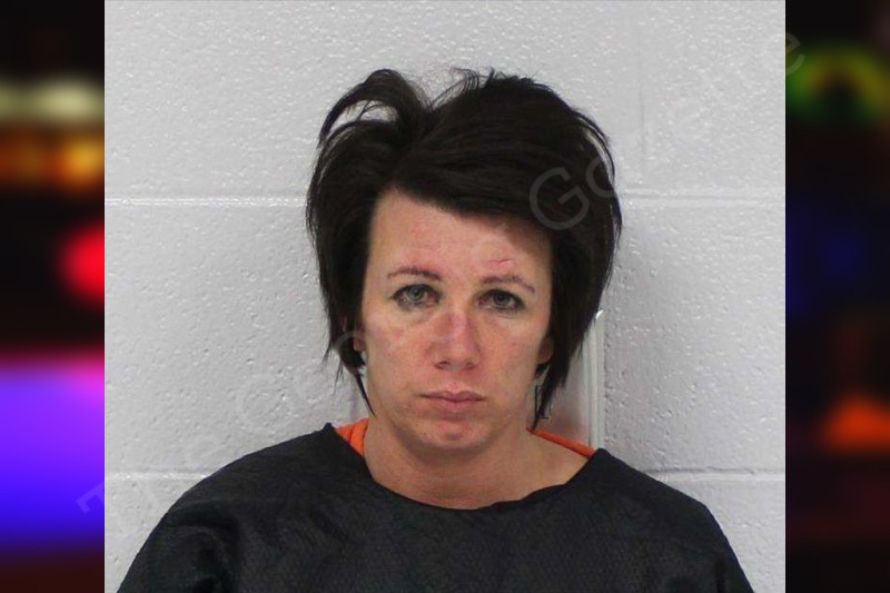 Alisha Pierce — Carroll County Jail Bookings