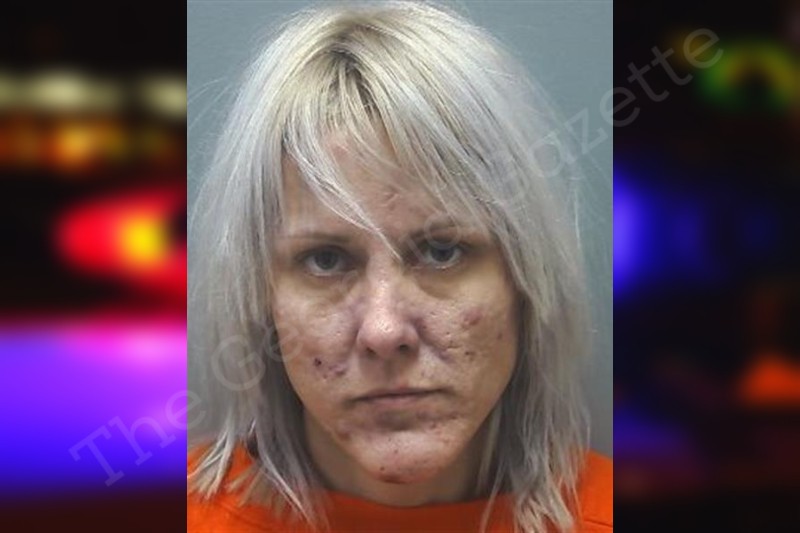 Sarah Poe — Cherokee County Jail Bookings