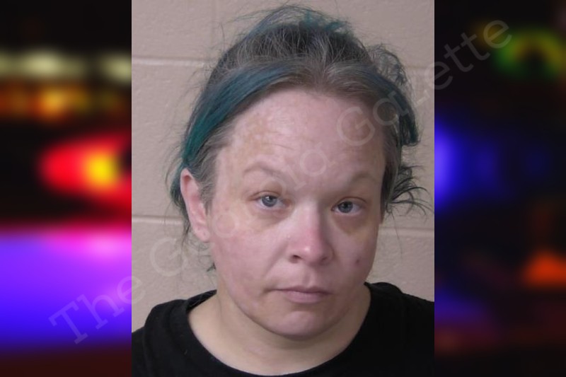 Jacklyn Payne — Walker County Jail Bookings