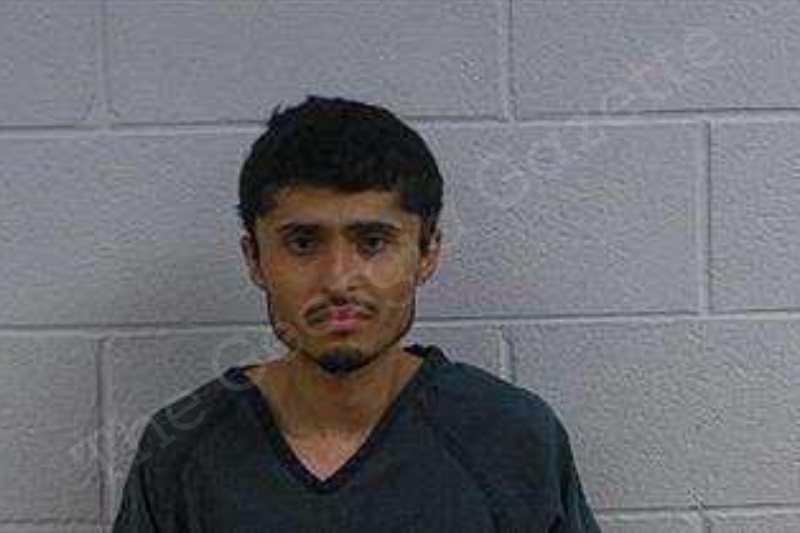 Jose Pineda — Polk County Jail Bookings