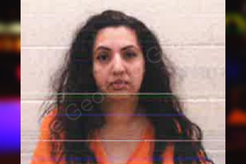 Marcela Quintero Castellanos — Pickens County Jail Bookings
