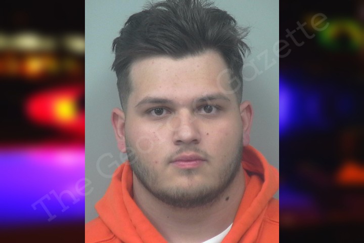 Deniel Rahimic — Gwinnett County
