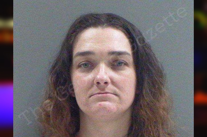 Megan Ramey — Rabun County Jail Bookings