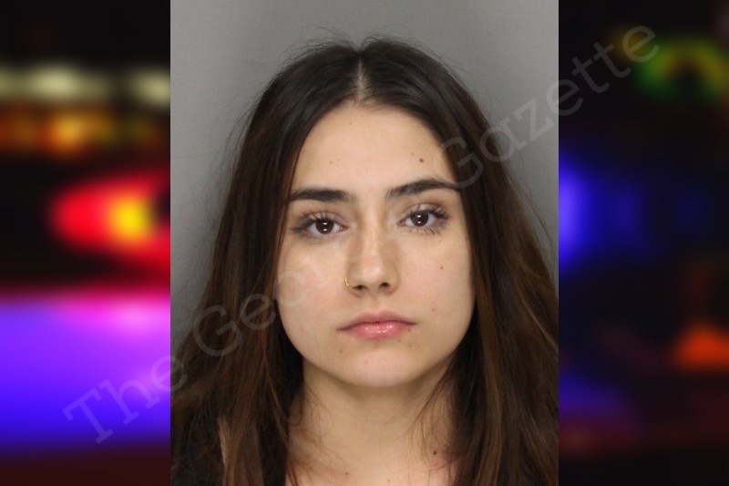 Laura Ramirez — Cobb County Jail Bookings