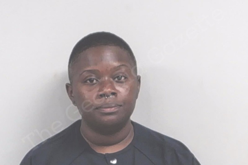 Miranda Robinson — Lowndes County Jail Bookings