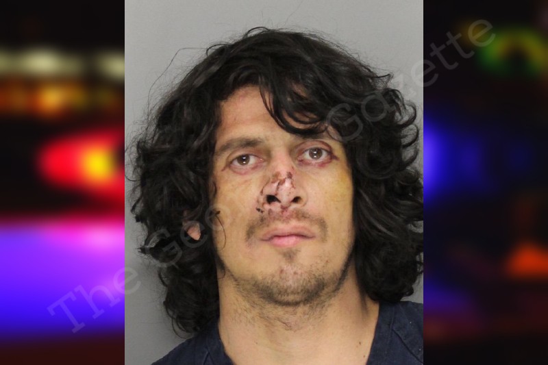 Ralph Rocha — Cobb County Jail Bookings