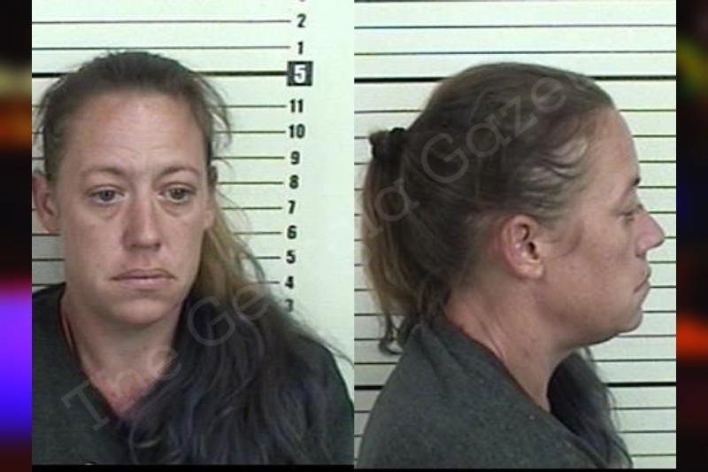 Ashley Raines — Camden County Jail Bookings