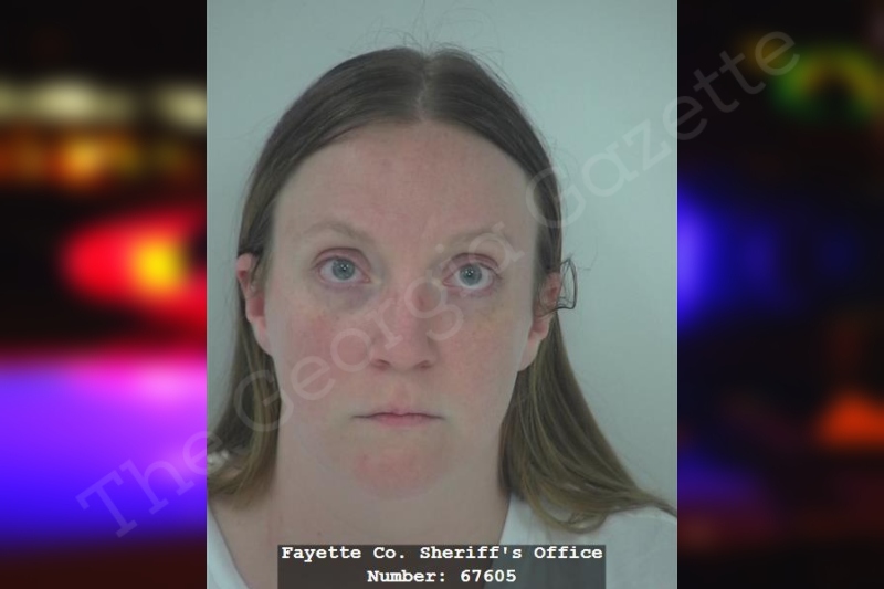 Amy Reyes — Fayette County Jail Bookings