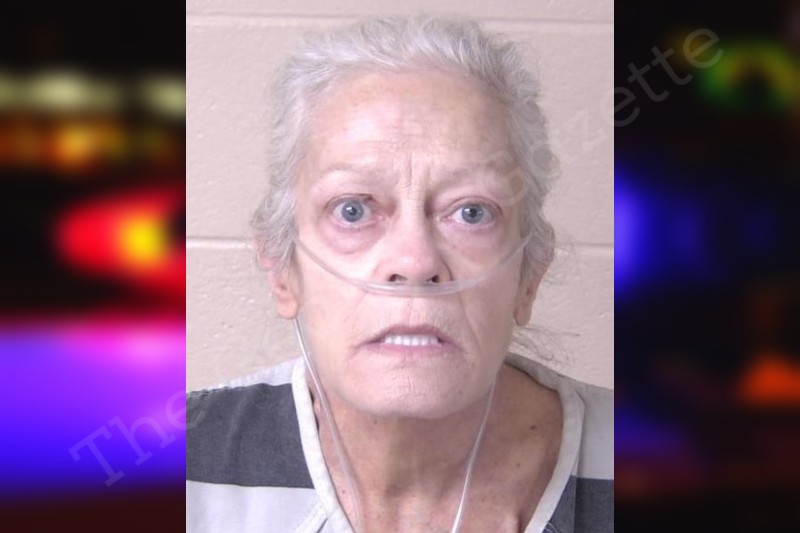 Jackie Rhodes — Walker County Jail Bookings