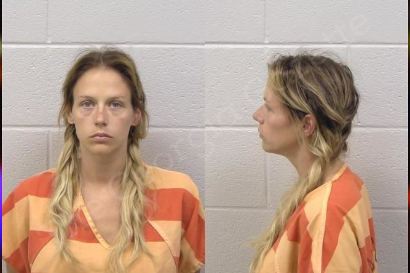 Kristina Rhodes — Paulding County Jail Bookings