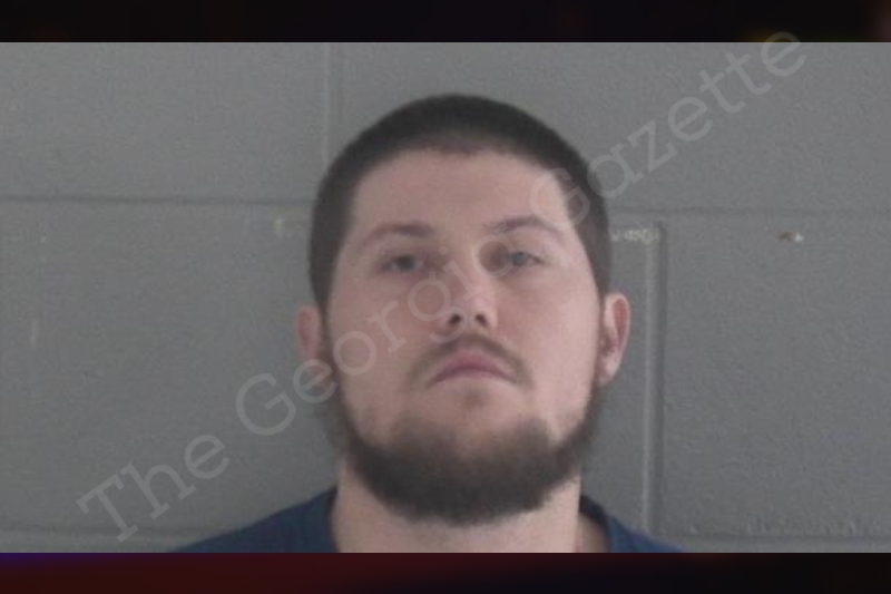Michael Riner — Brantley County Jail Bookings