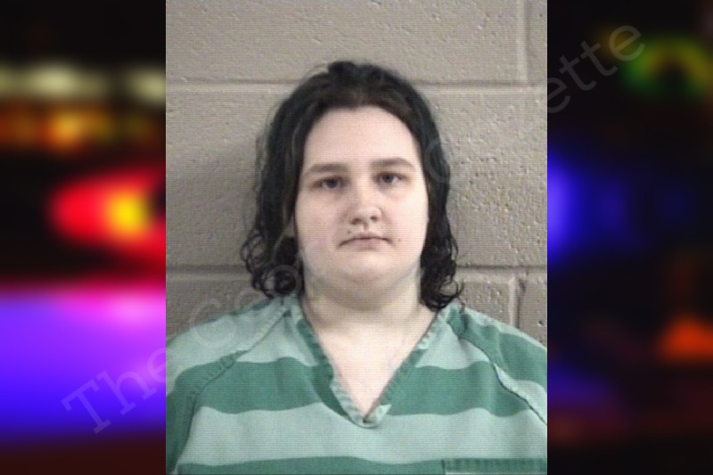 Susan Ring — Whitfield County Jail Bookings