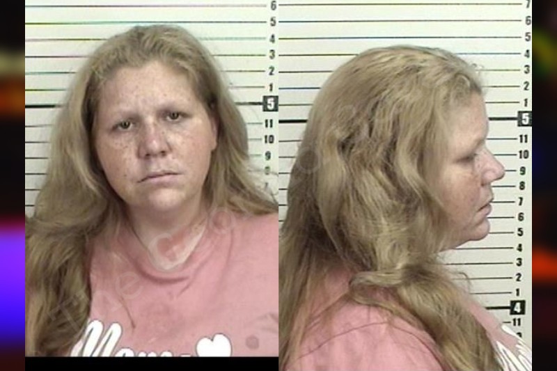 Katie Rooks — Camden County Jail Bookings