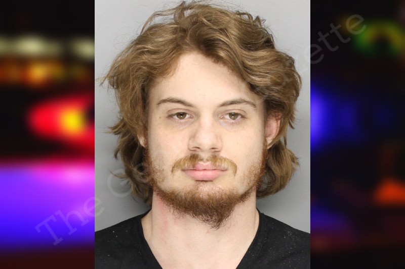 Caleb Sinnott — Cobb County Jail Bookings