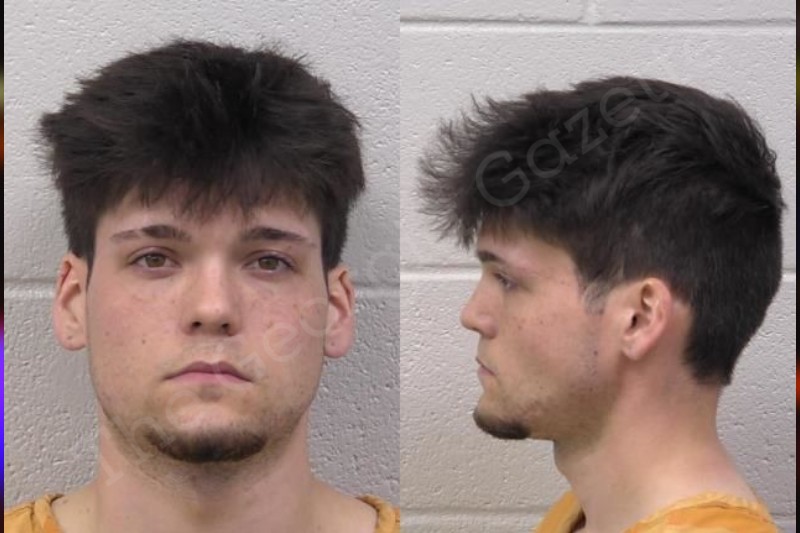 Ryan Savalli — Paulding County Jail Bookings