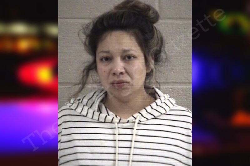 Laura Silva — Whitfield County Jail Bookings