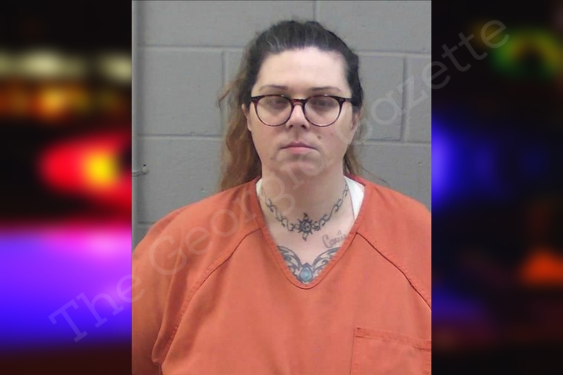 Sarah Sims — Madison County Jail Bookings
