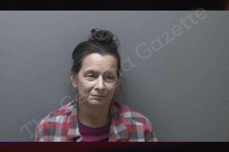 Tracy Smith — Charlton County Jail Bookings